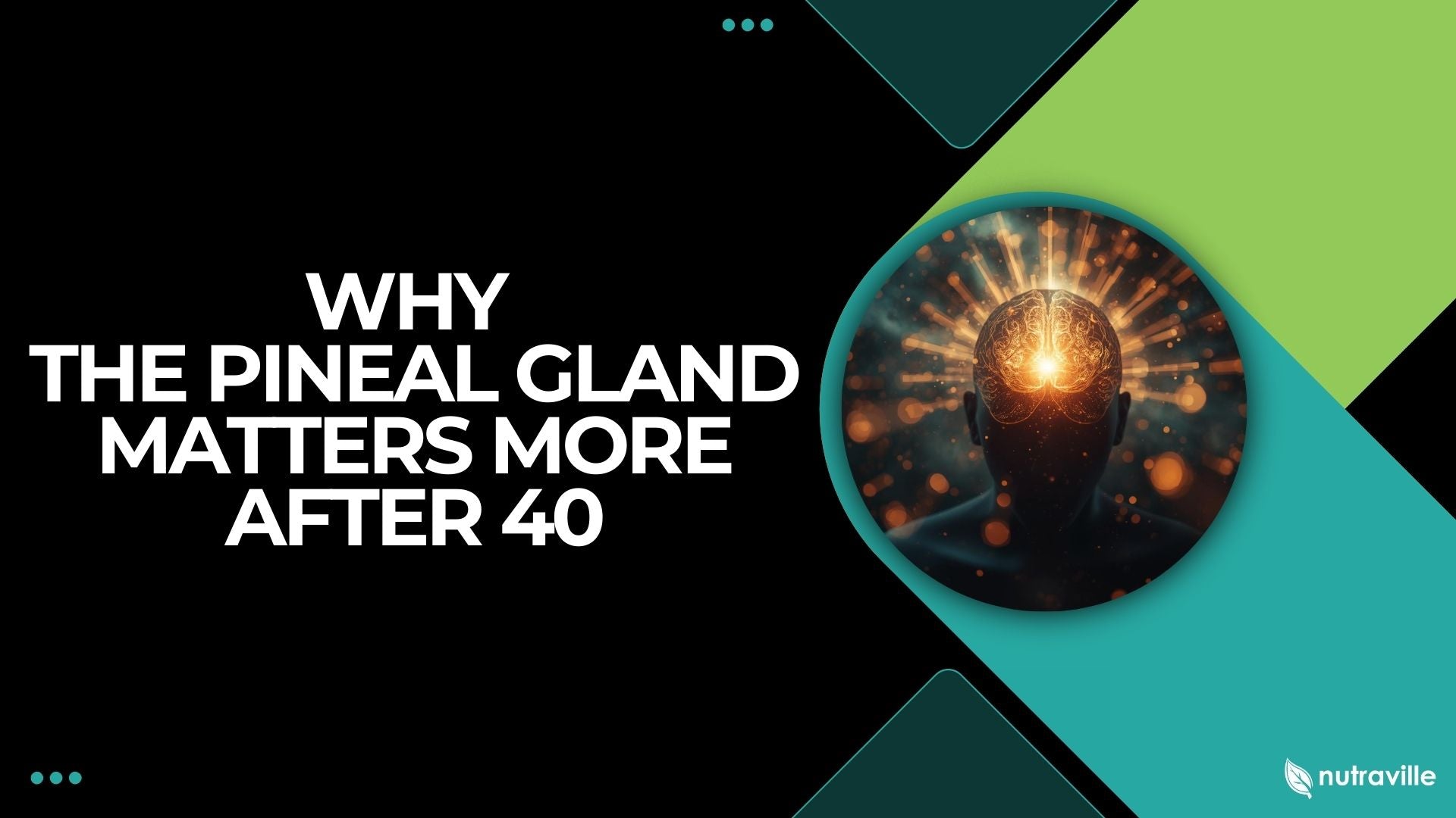 Why the Pineal Gland Matters More After 40 – Nutraville