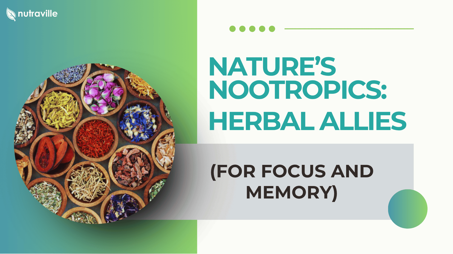 Nature’s Nootropics: Herbal Allies for Focus and Memory – Nutraville